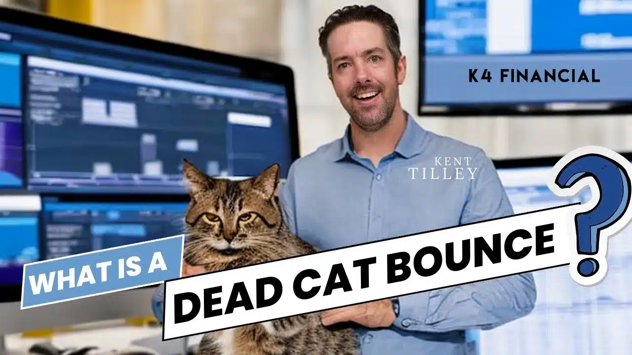 What is a “Dead Cat Bounce”??? – K4 Financial
